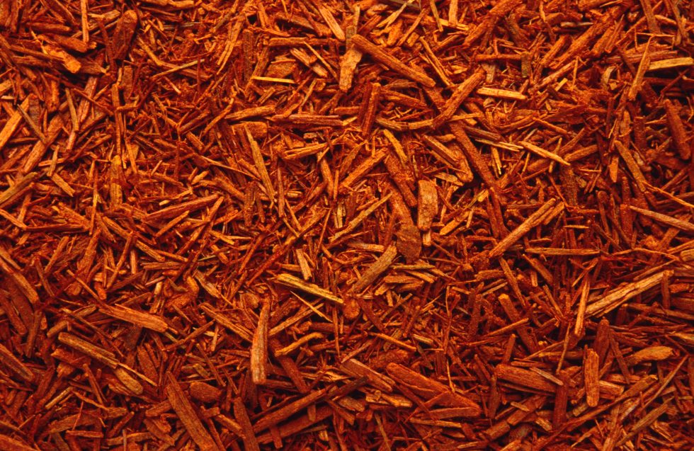 Palo campeche wood chips – LAGLOBAL