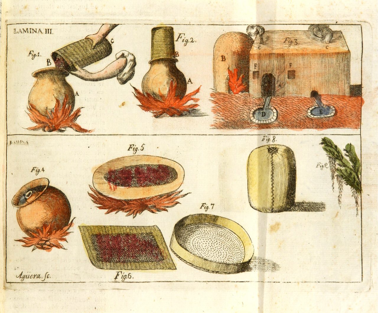 COCHINEAL PRODUCTION – LAGLOBAL